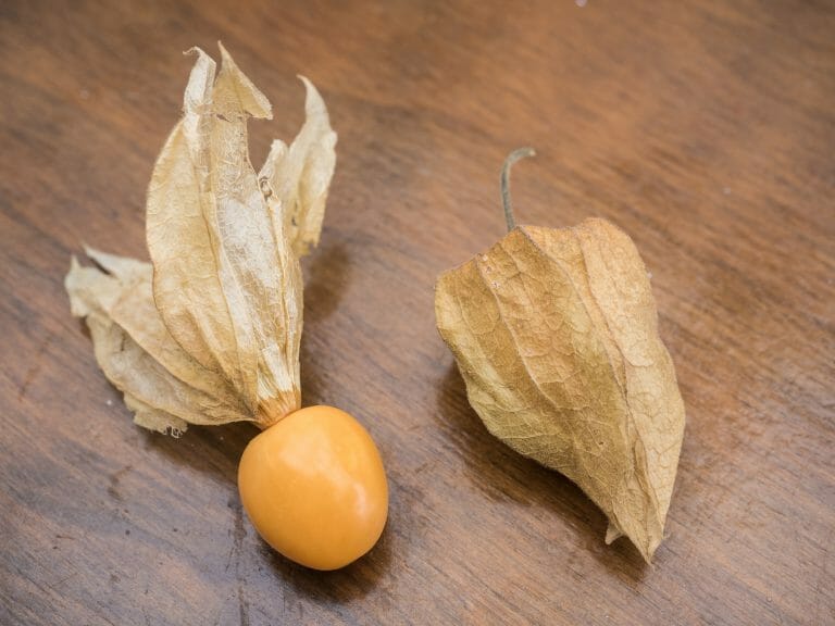 Buen Apetito: a delicious cooking class with SkyKitchen Peru in Lima ⋆ ...