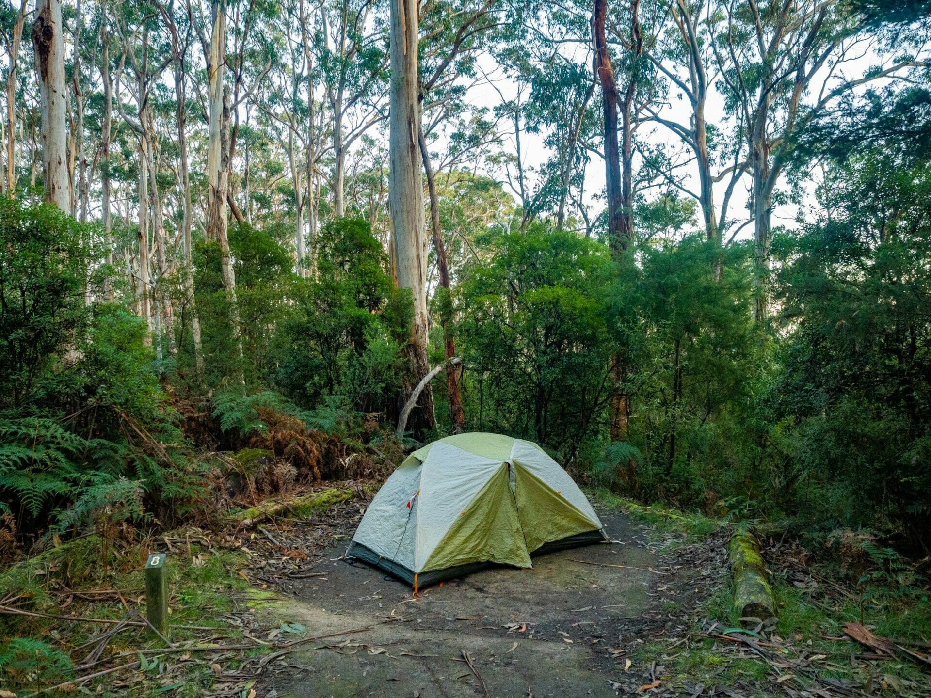 Apollo Bay to Twelve Apostles: A complete guide to solo hiking the ...
