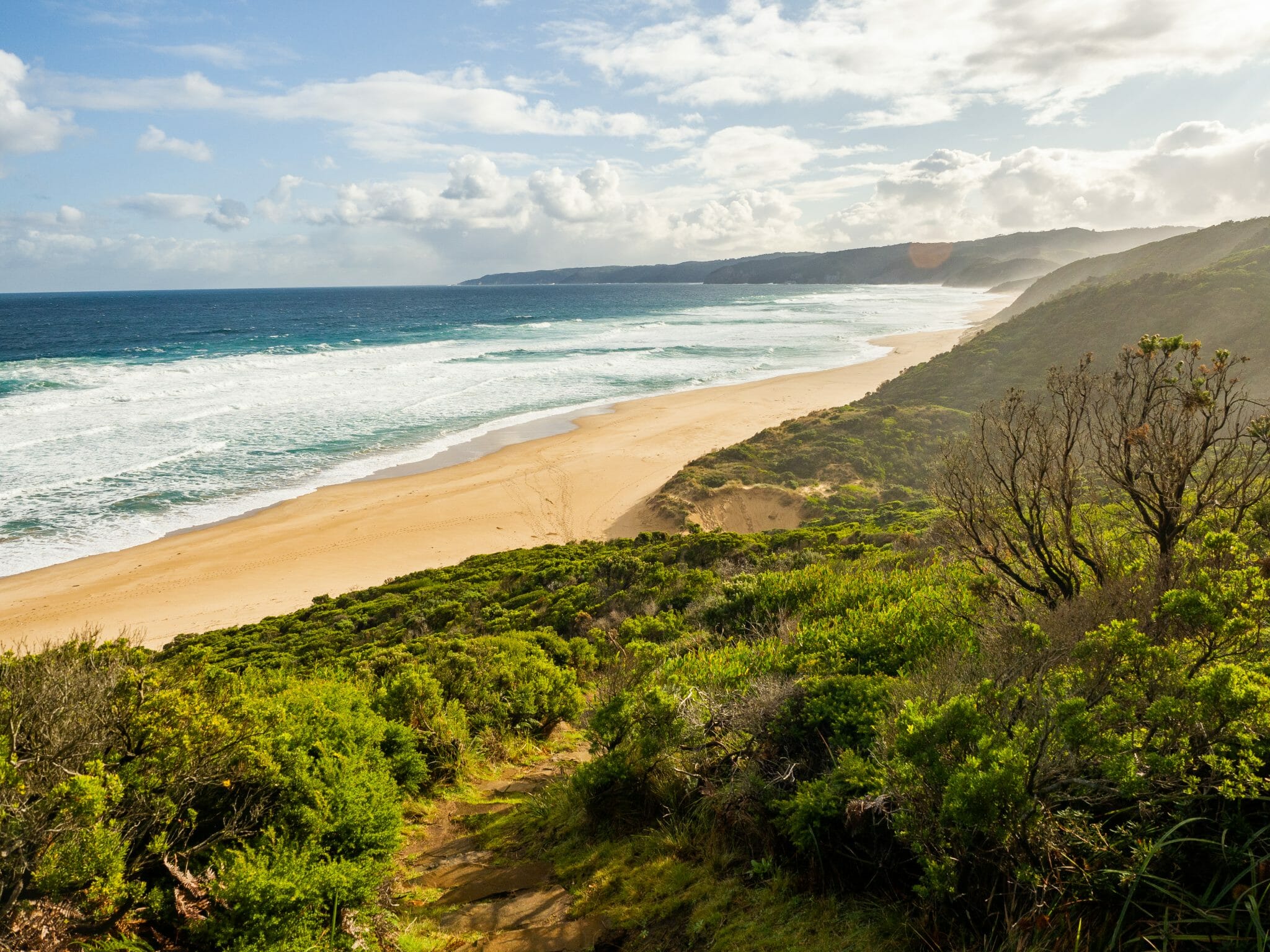 Apollo Bay to Twelve Apostles: A complete guide to solo hiking the ...