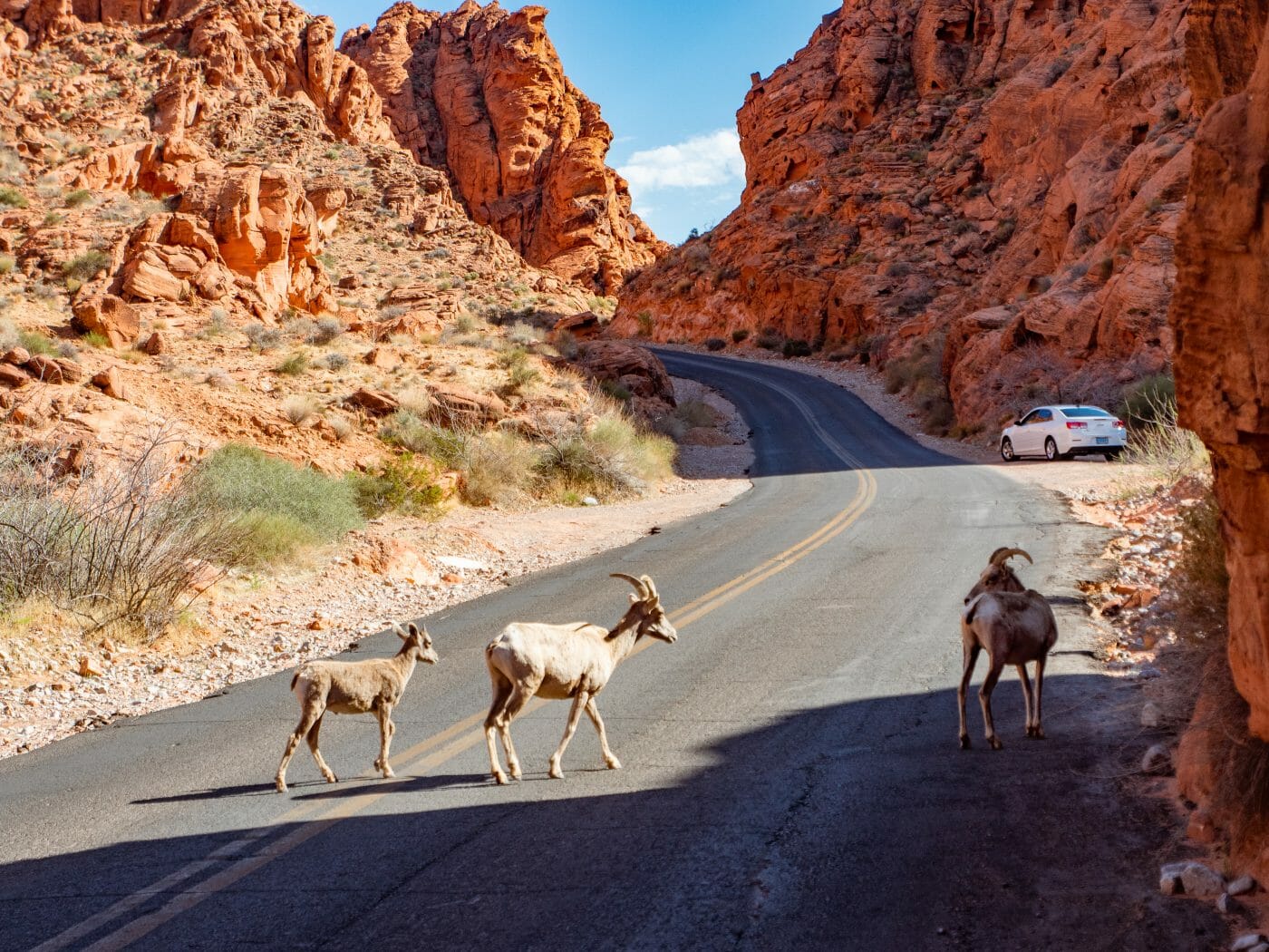 The ultimate 1-day Valley of Fire State Park itinerary: 12 best hikes ...