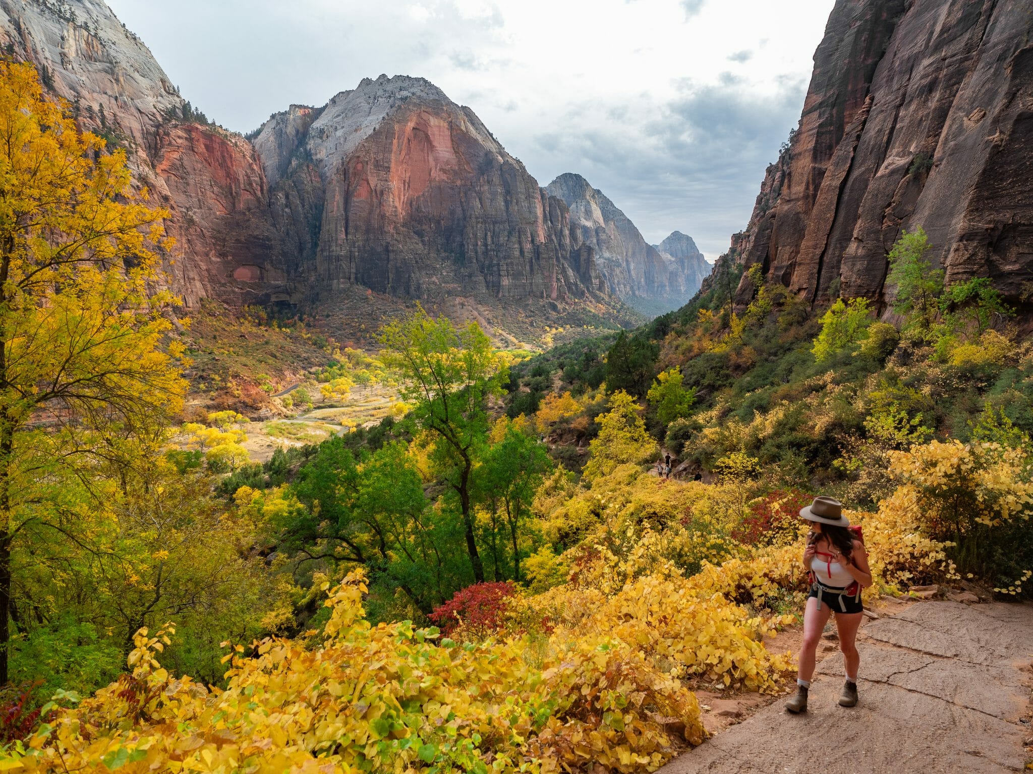 Everything you need to know about hiking the Subway (bottom up) in Zion ...