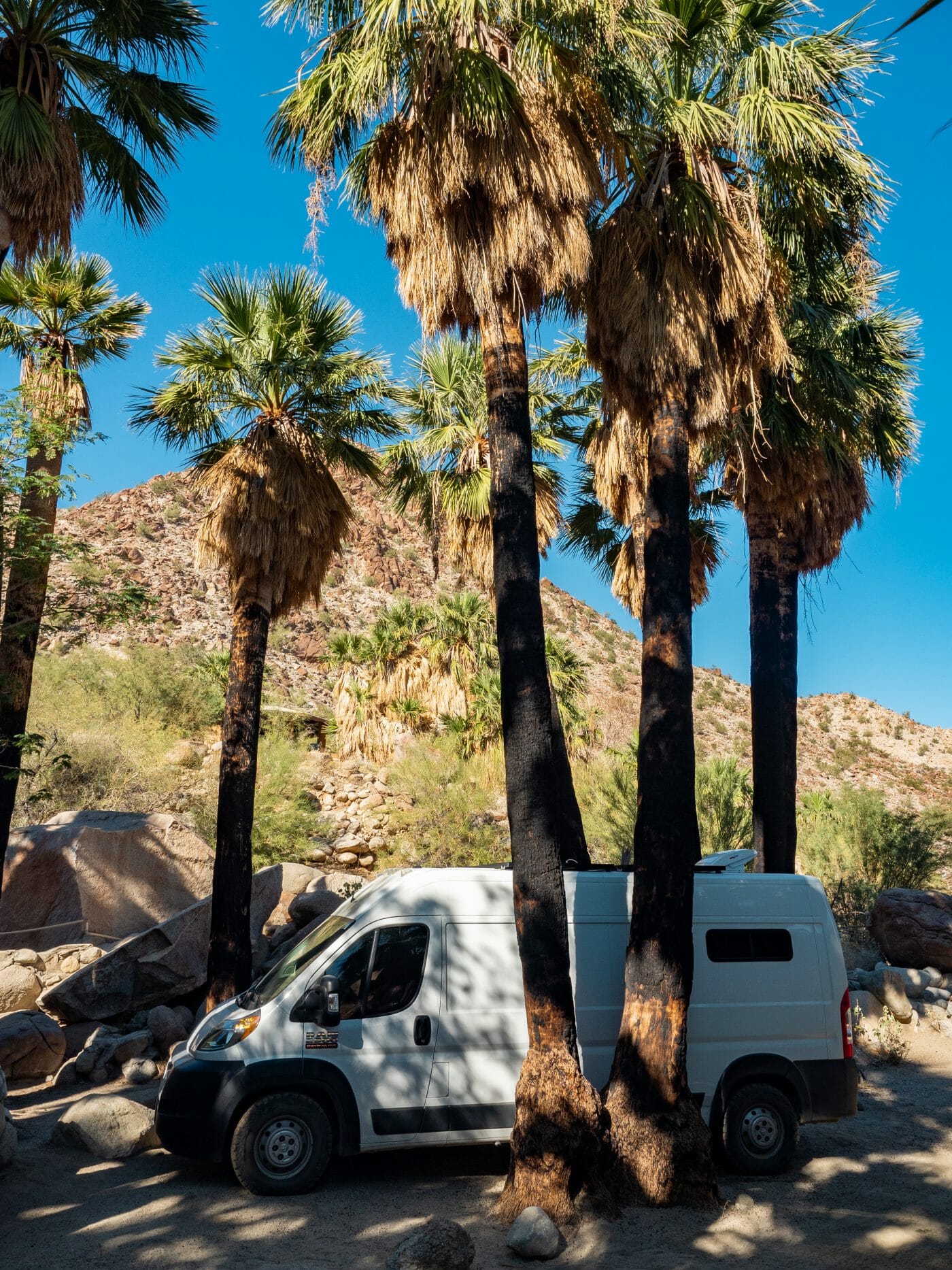 The ultimate road-tripper's guide to Baja, Mexico ⋆ brooke beyond