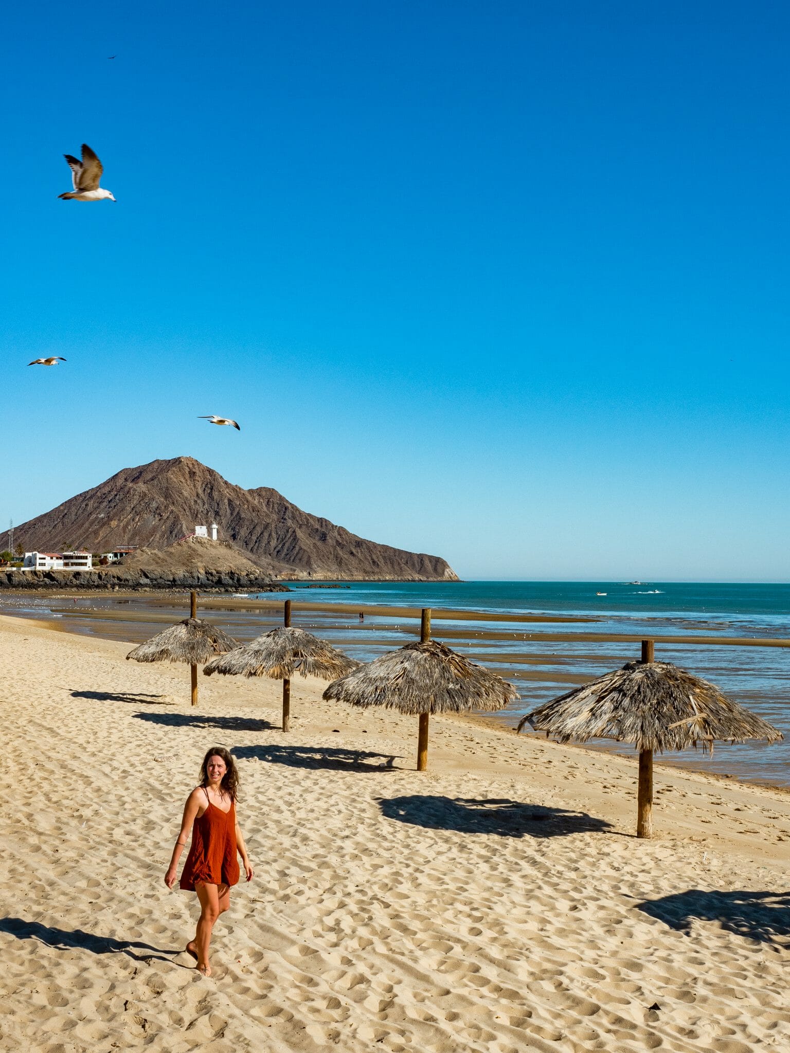 The ultimate Baja camping guide (+ 35 of the best vanlife & RV ...