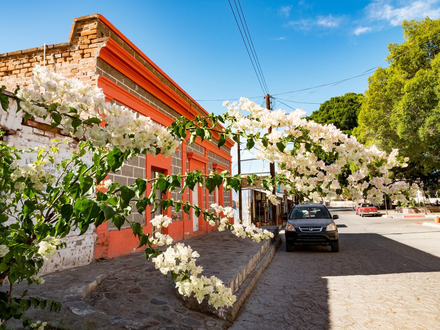The ultimate road-tripper's guide to Baja, Mexico ⋆ brooke beyond