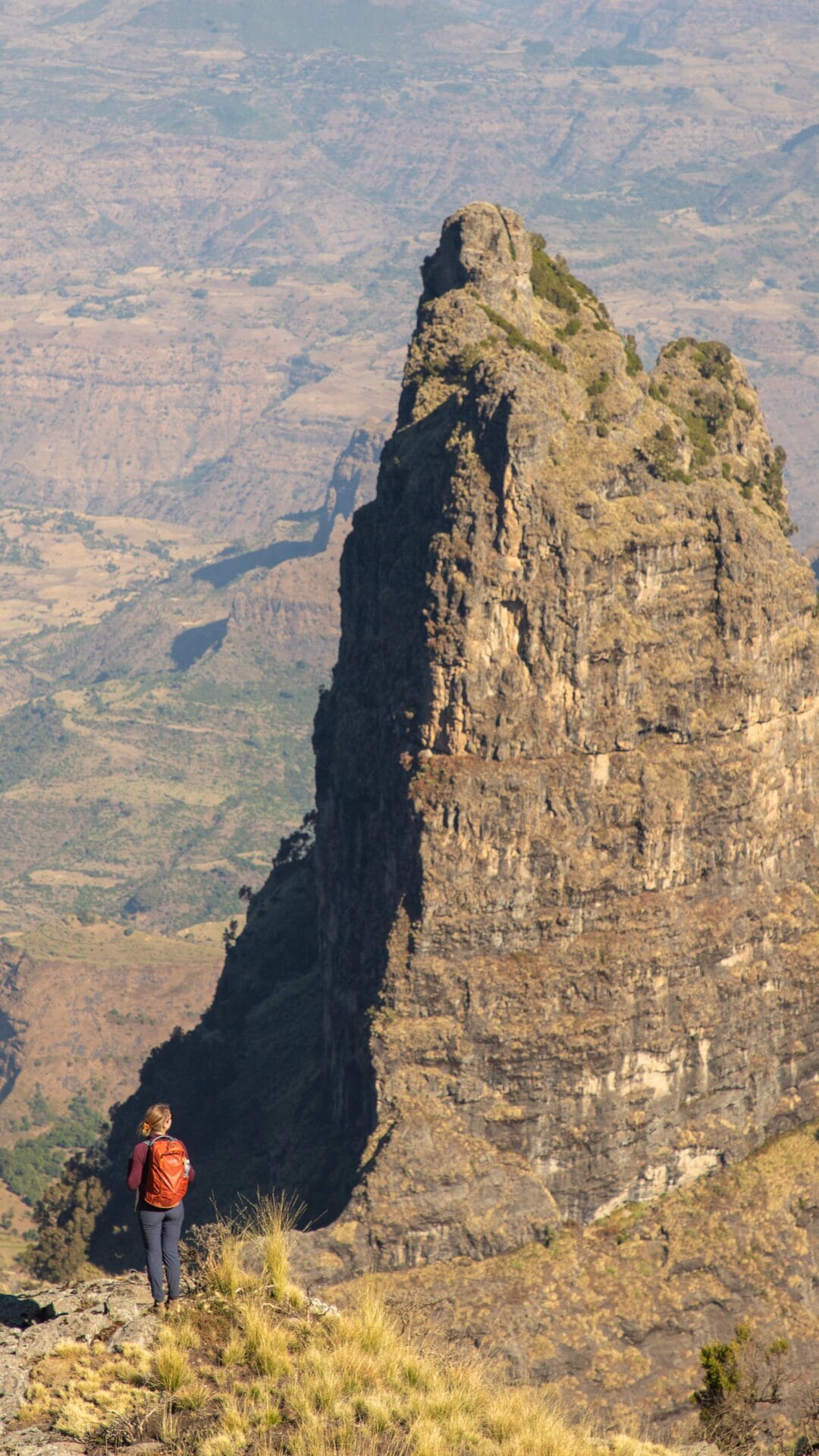 Completing AFP National Police Checks (NPC) for your 820/801 Australian ...