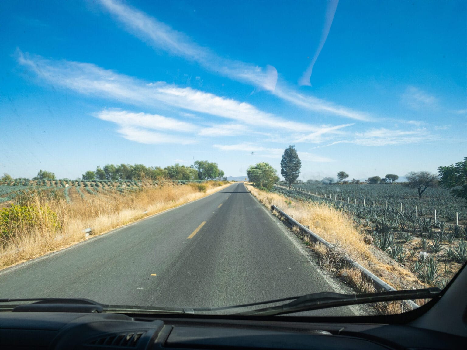 Driving in Mexico: essential road trip guide for foreigners ⋆ brooke beyond