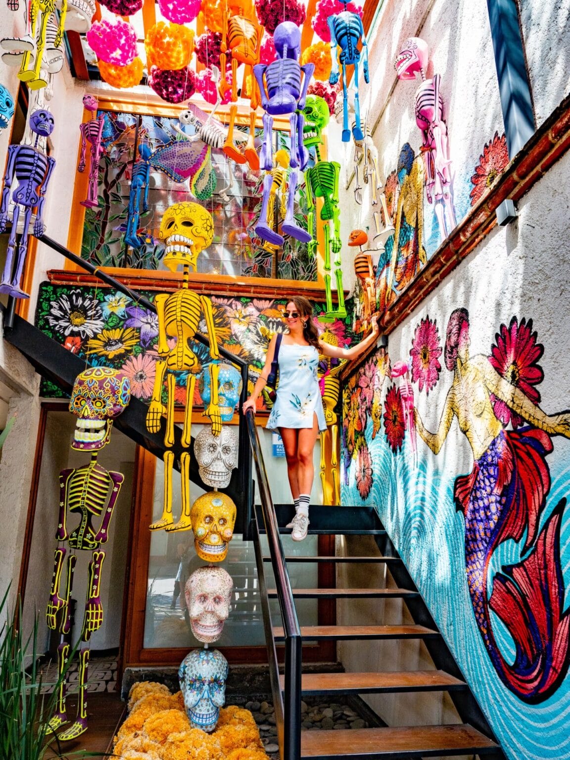 Rotto travel guide: the perfect day trip to Rottnest Island, Western ...